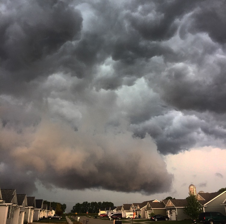 Finding a Silver Lining | lyme is a four letter word